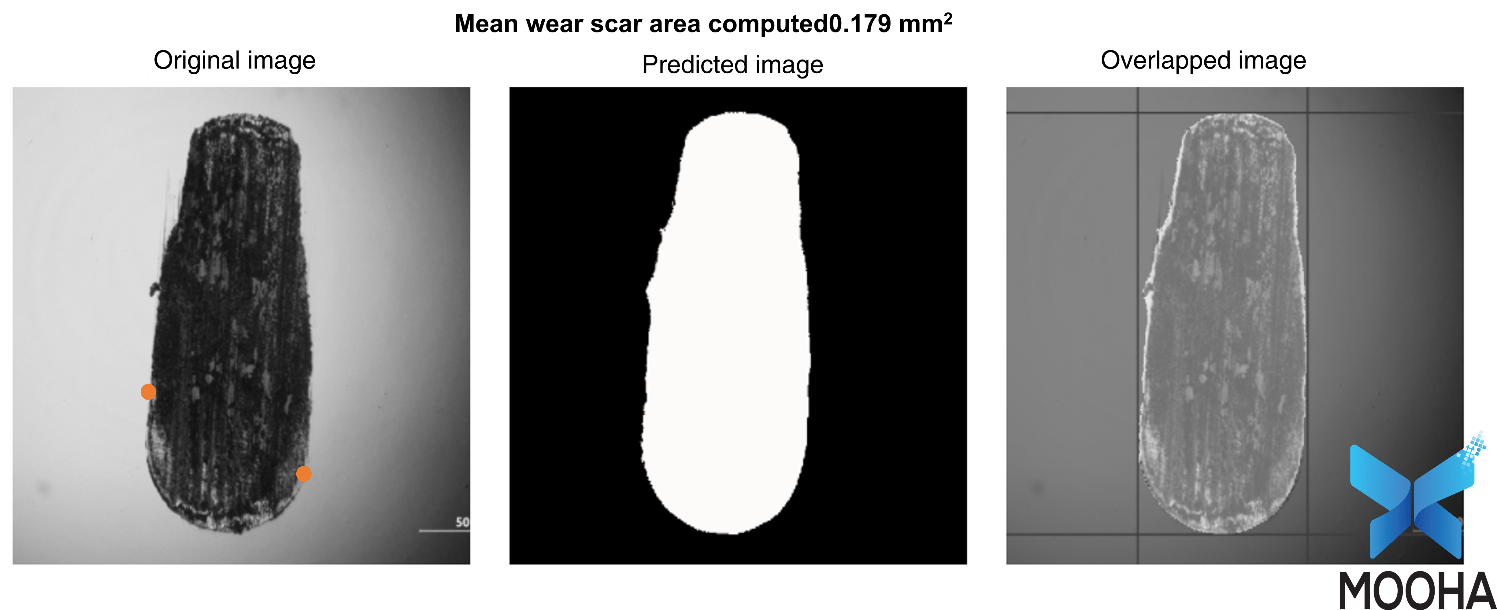 Automation in detecting wear scar and its measurements